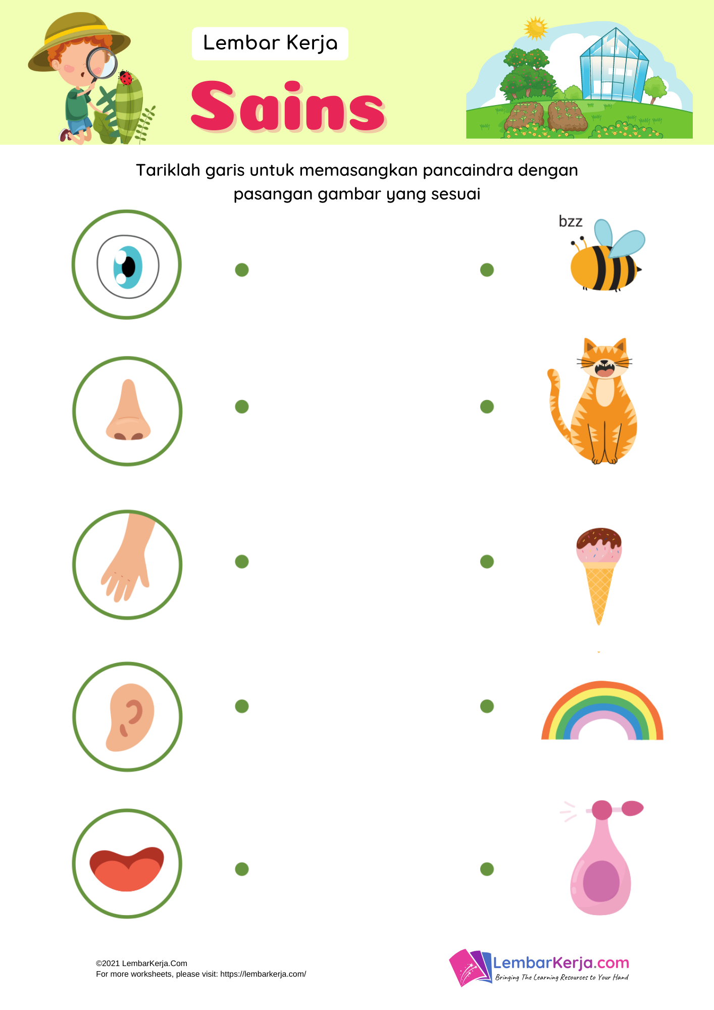 Sains: Pancaindra (2) - LembarKerja.Com